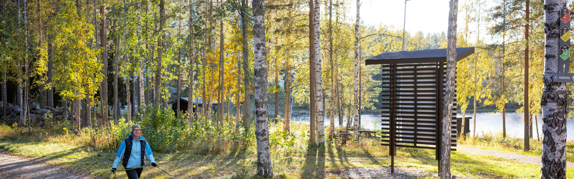 Aktivitetsprogram - Skellefteå kommun